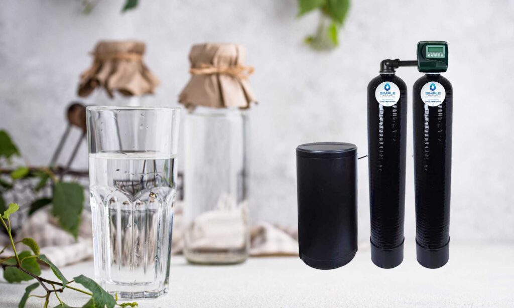 Spring Into Pure Water: Embrace Whole House Filtration This Season ...